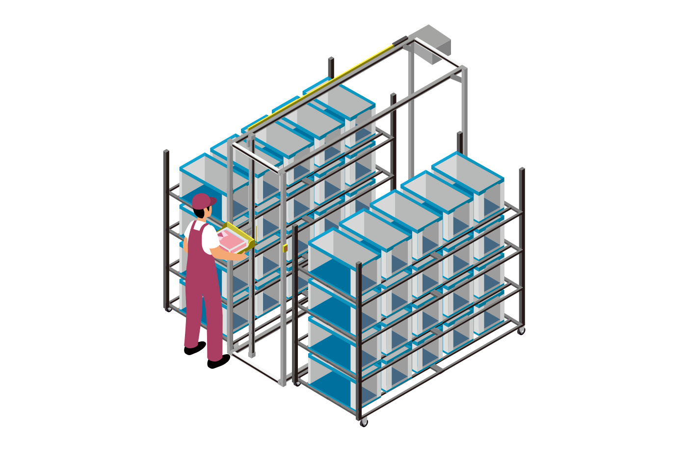 t-Sort 3D | +Automation